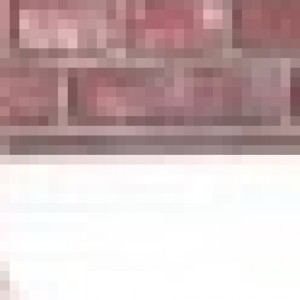 Kyle Kellner - Facts, Bio, Career, Net Worth | AidWiki