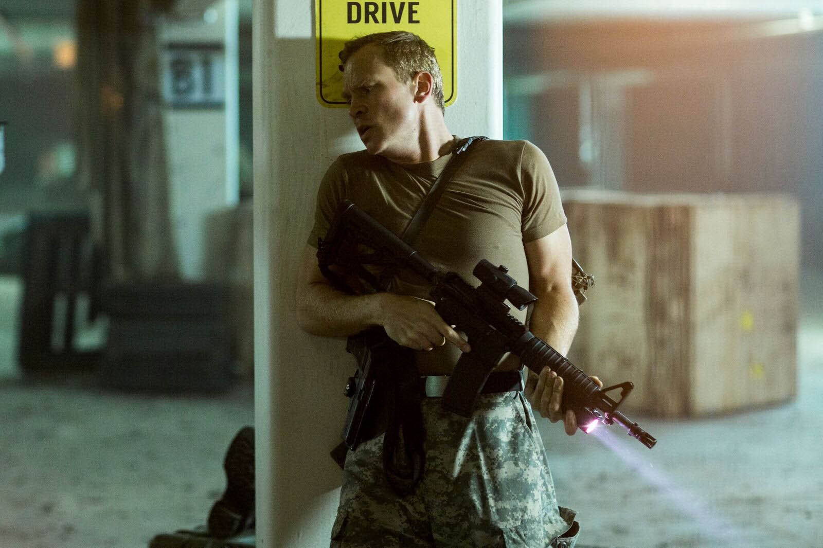 Ali Cook - Facts, Bio, Career, Net Worth | AidWiki