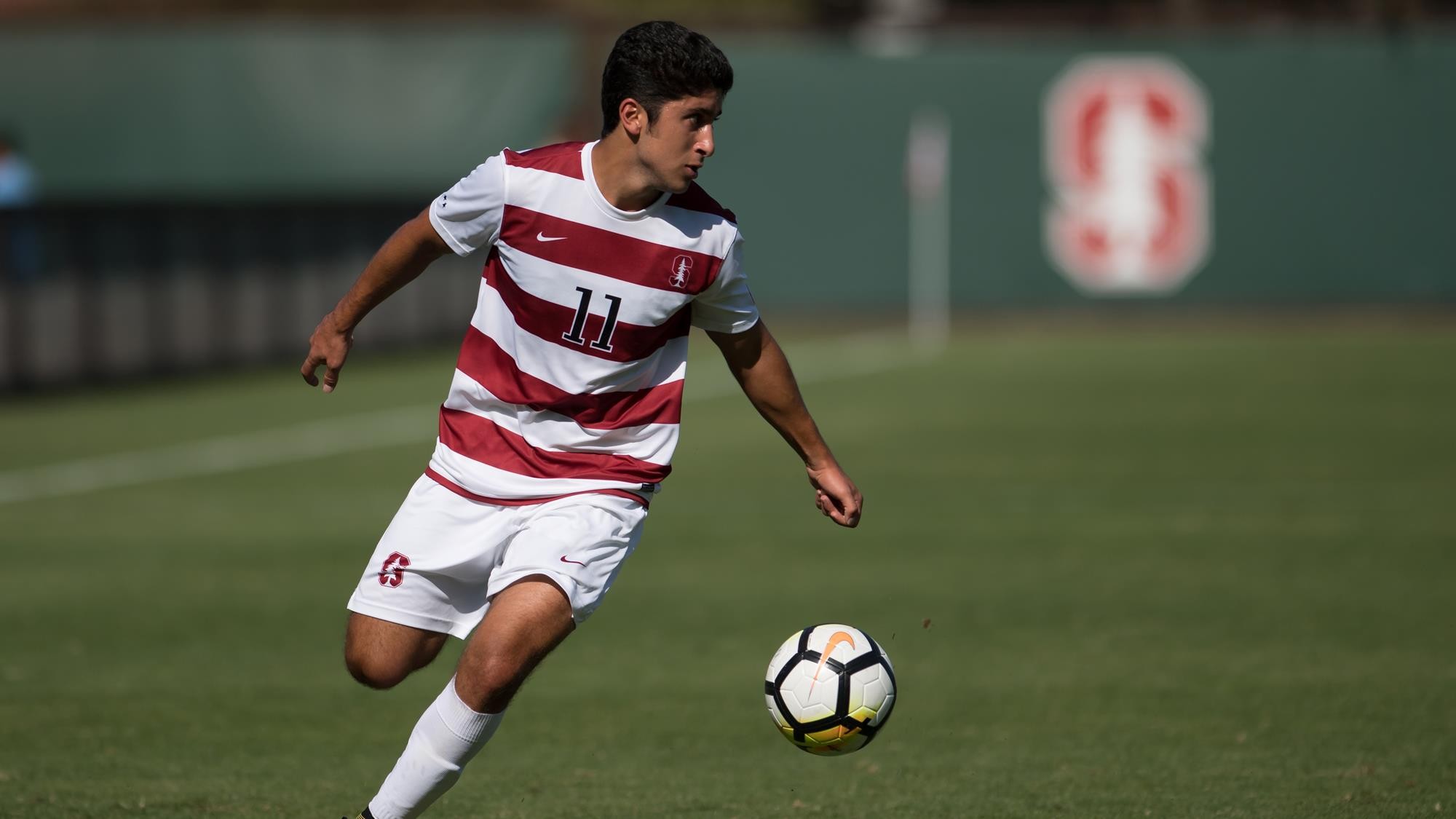 Amir Bashti - Facts, Bio, Career, Net Worth | AidWiki