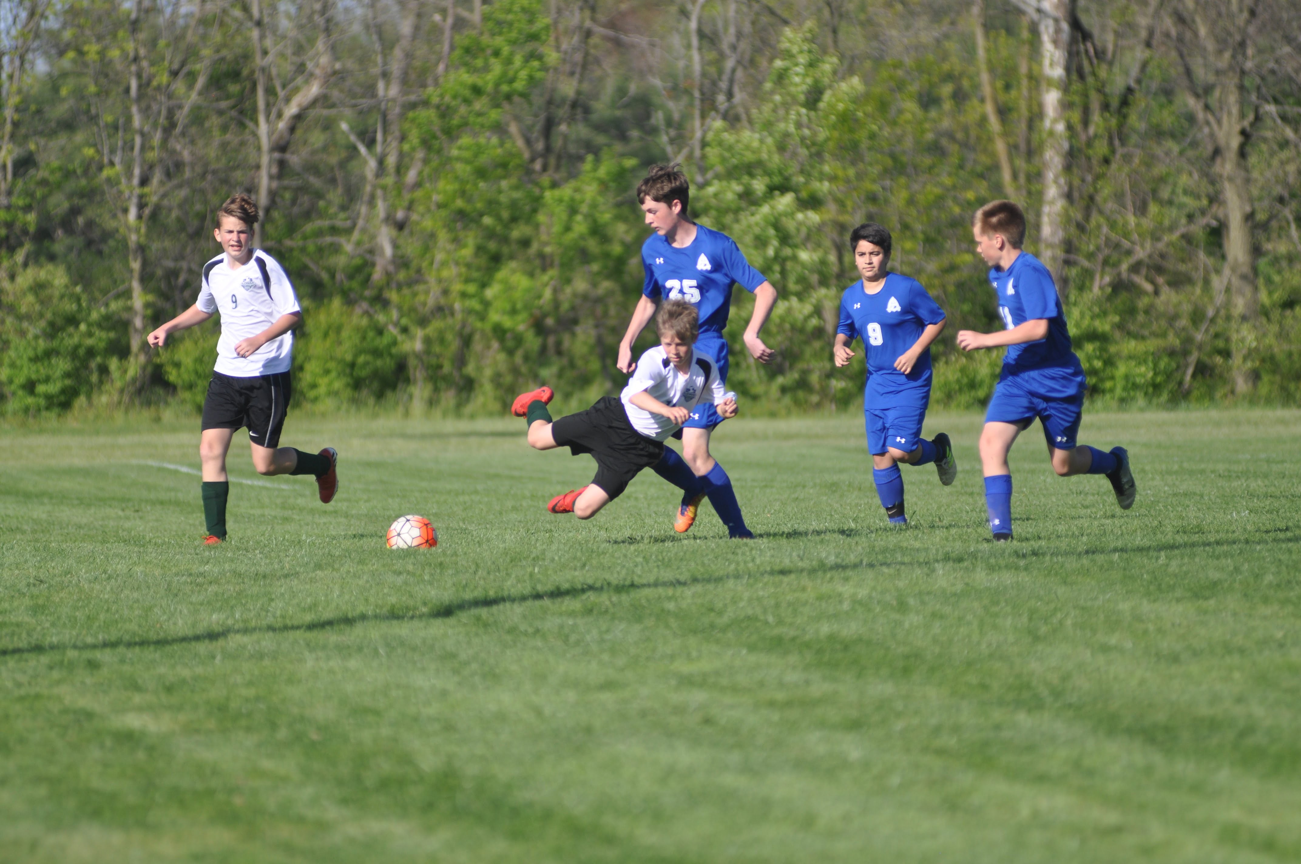 Andrew Lewis (soccer) - Facts, Bio, Career, Net Worth | AidWiki