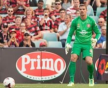 Ante Covic - Facts, Bio, Career, Net Worth | AidWiki