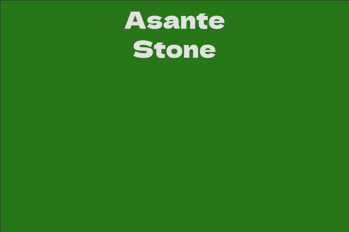 Asante Stone - Facts, Bio, Career, Net Worth | AidWiki