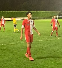 Brandon Chebby - Facts, Bio, Career, Net Worth | AidWiki