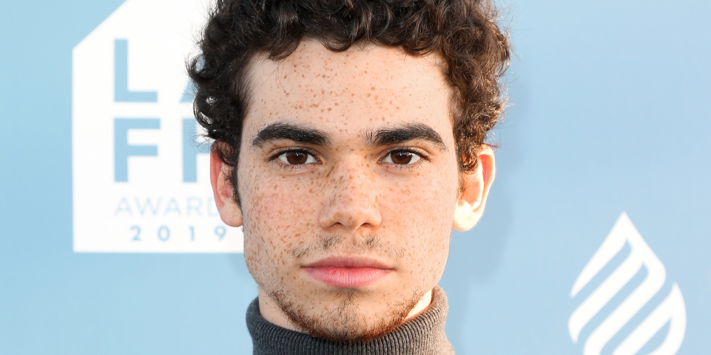 Cameron Boyce - Facts, Bio, Career, Net Worth | AidWiki