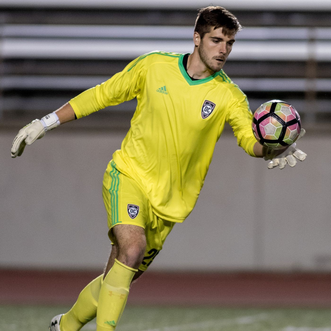 Casey Beyers - Facts, Bio, Career, Net Worth | AidWiki