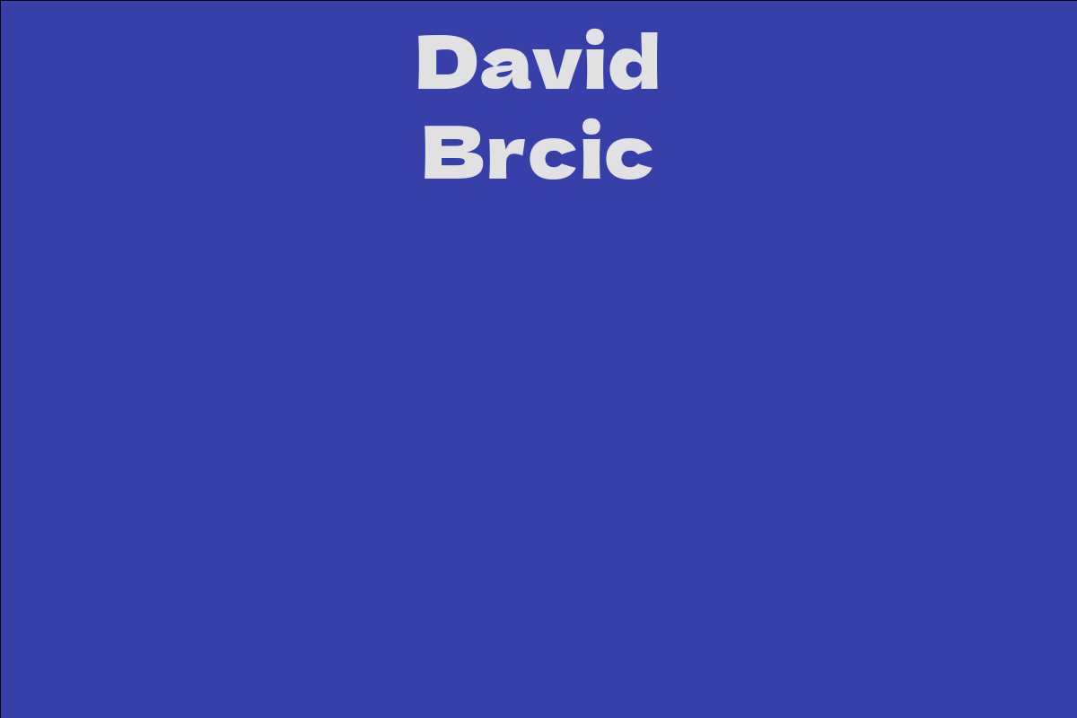 David Brcic - Facts, Bio, Career, Net Worth | AidWiki