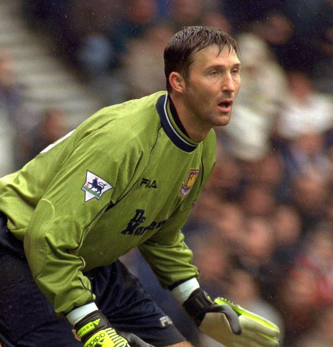 Ian Feuer - Facts, Bio, Career, Net Worth | AidWiki