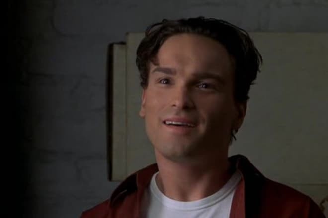 Johnny Galecki Facts Bio Career Net Worth Aidwiki