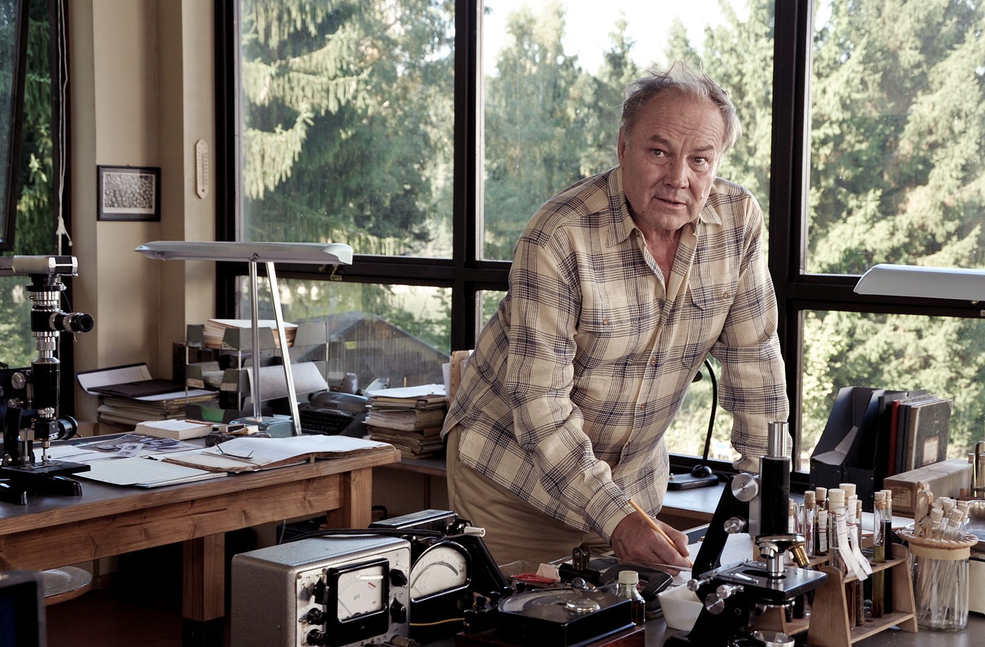 Klaus Maria Brandauer - Facts, Bio, Career, Net Worth | AidWiki