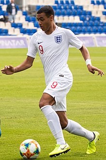 Lewis Dobbin - Facts, Bio, Career, Net Worth | AidWiki