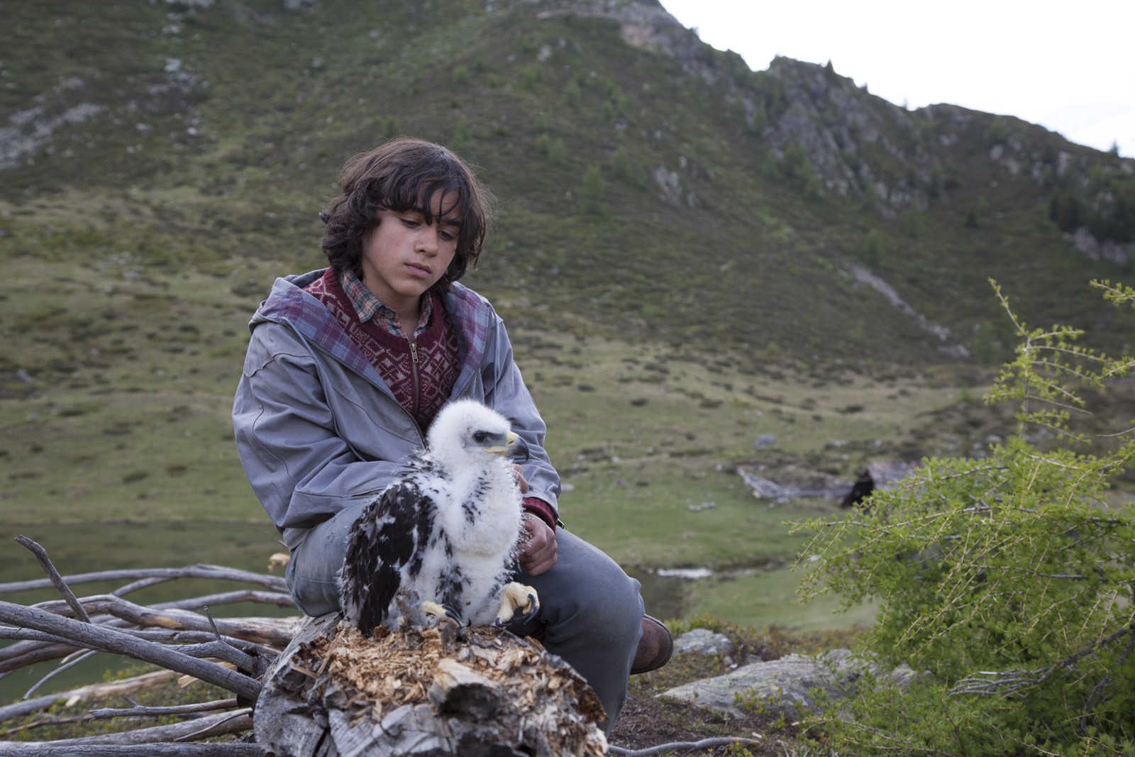 Manuel Camacho Placeholder Image - Facts, Bio, Career, Net Worth | AidWiki