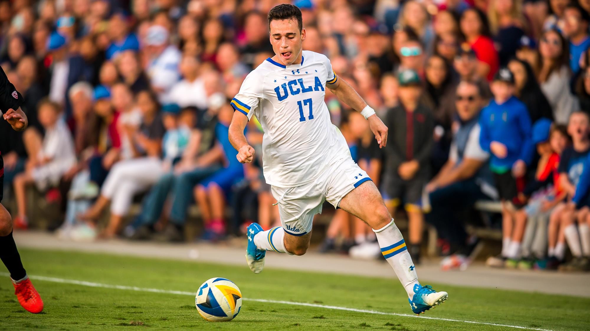 Matt Hundley - Facts, Bio, Career, Net Worth | AidWiki