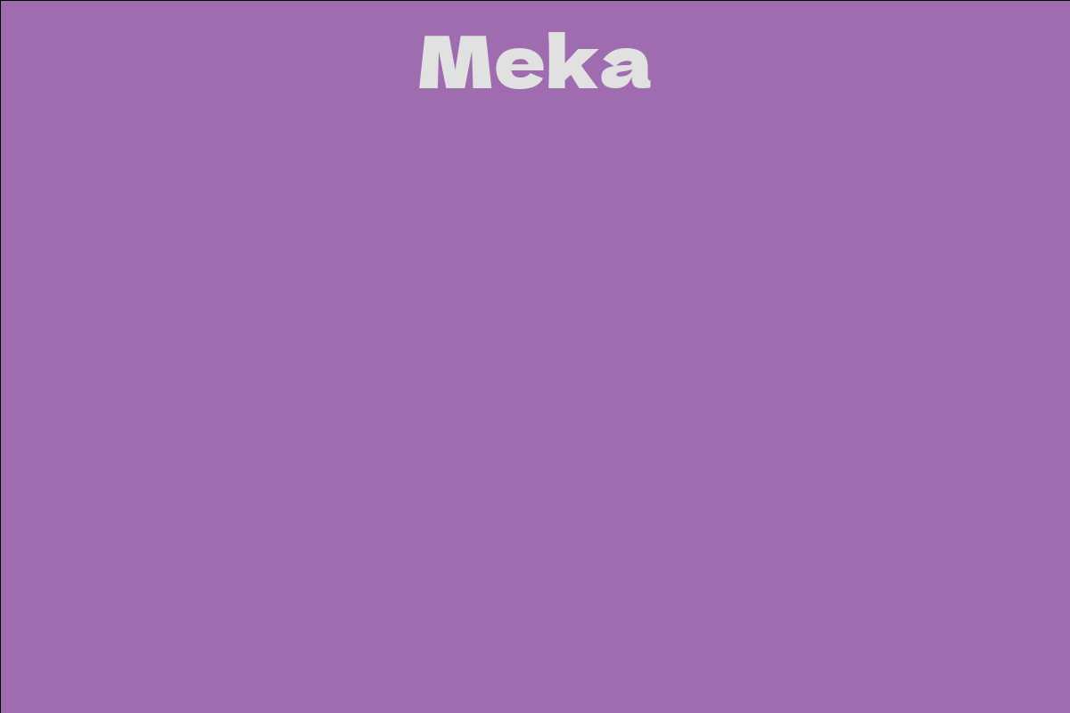 Meka - Facts, Bio, Career, Net Worth | AidWiki