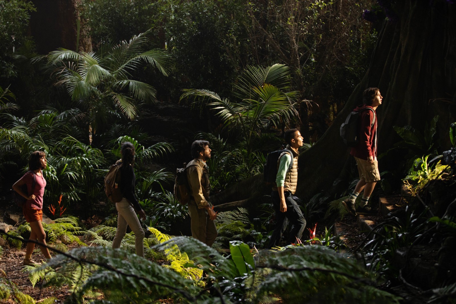 Nicholas Coombe - Facts, Bio, Career, Net Worth | AidWiki