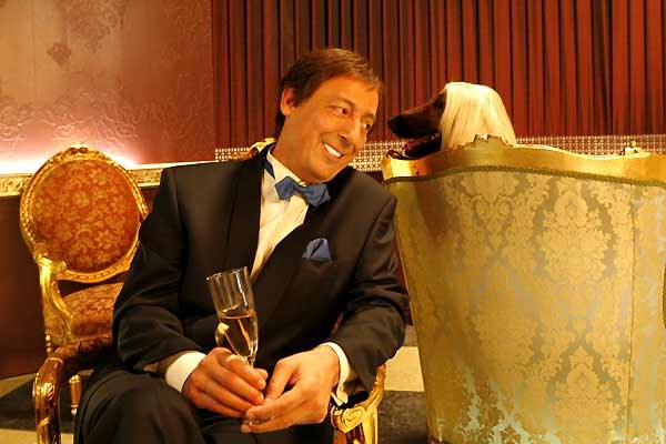 Stephen Cafiero - Facts, Bio, Career, Net Worth | AidWiki