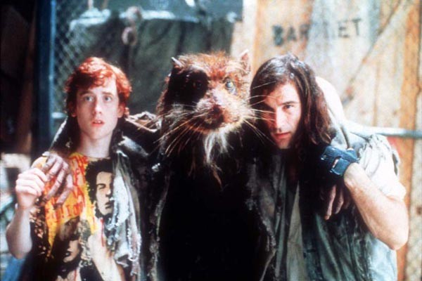 Steve Barron - Facts, Bio, Career, Net Worth | AidWiki