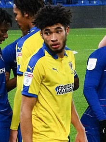 Tyler Burey - Facts, Bio, Career, Net Worth | AidWiki