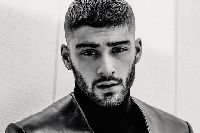 Van Direction - Facts, Bio, Career, Net Worth | AidWiki