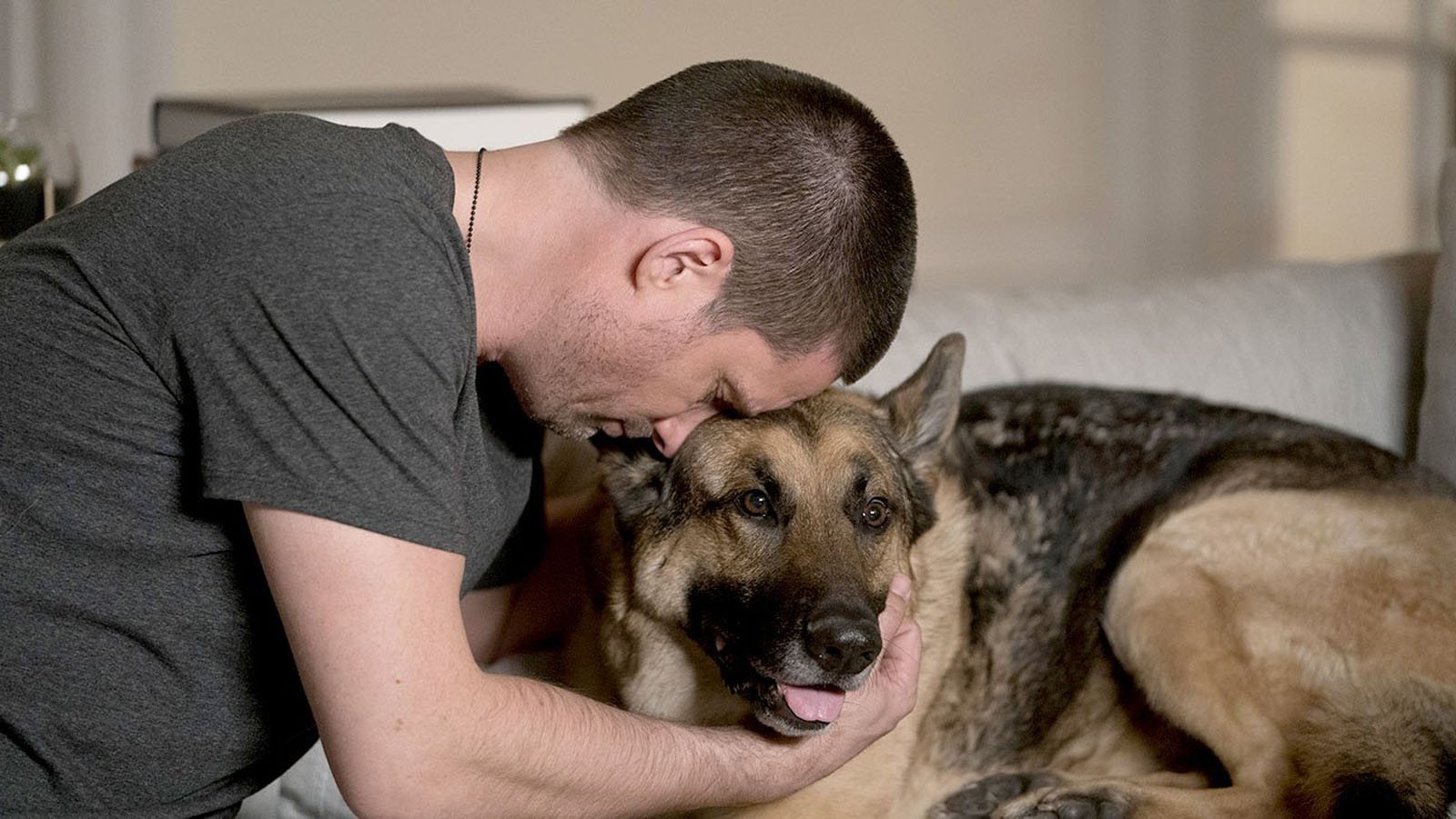 Warren Christie - Facts, Bio, Career, Net Worth | AidWiki