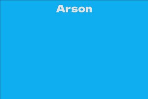 Arson - Facts, Bio, Career, Net Worth | AidWiki