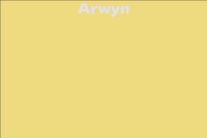 Arwyn - Facts, Bio, Career, Net Worth | AidWiki