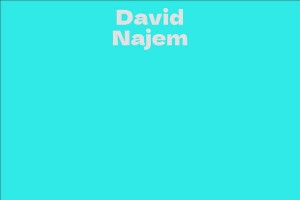 David Najem - Facts, Bio, Career, Net Worth | AidWiki