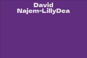 David Najem-LillyDea - Facts, Bio, Career, Net Worth | AidWiki