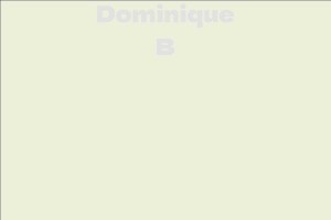 Dominique B - Facts, Bio, Career, Net Worth | AidWiki