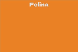 Felina - Facts, Bio, Career, Net Worth | AidWiki