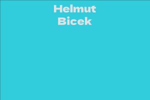 Helmut Bicek - Facts, Bio, Career, Net Worth | AidWiki