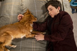 Jace Chapman - Facts, Bio, Career, Net Worth | AidWiki