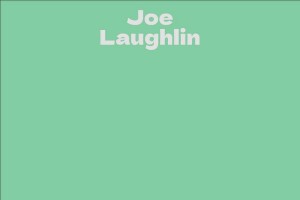 Joe Laughlin - Facts, Bio, Career, Net Worth | AidWiki