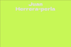 Juan Herrera-perla - Facts, Bio, Career, Net Worth | AidWiki