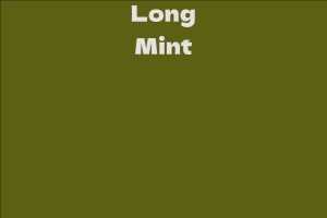 Long Mint - Facts, Bio, Career, Net Worth | AidWiki