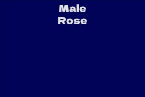 Male Rose - Facts, Bio, Career, Net Worth | AidWiki