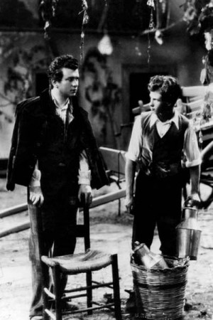 Mario Camerini - Facts, Bio, Career, Net Worth | AidWiki