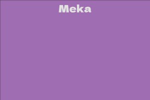 Meka - Facts, Bio, Career, Net Worth | AidWiki