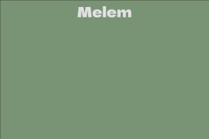 Melem - Facts, Bio, Career, Net Worth | AidWiki