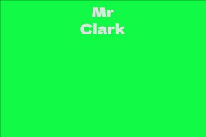 Mr Clark - Facts, Bio, Career, Net Worth | AidWiki