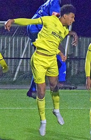 Nico Jones - Facts, Bio, Career, Net Worth | AidWiki