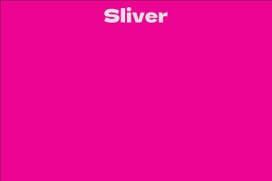 Sliver - Facts, Bio, Career, Net Worth | AidWiki